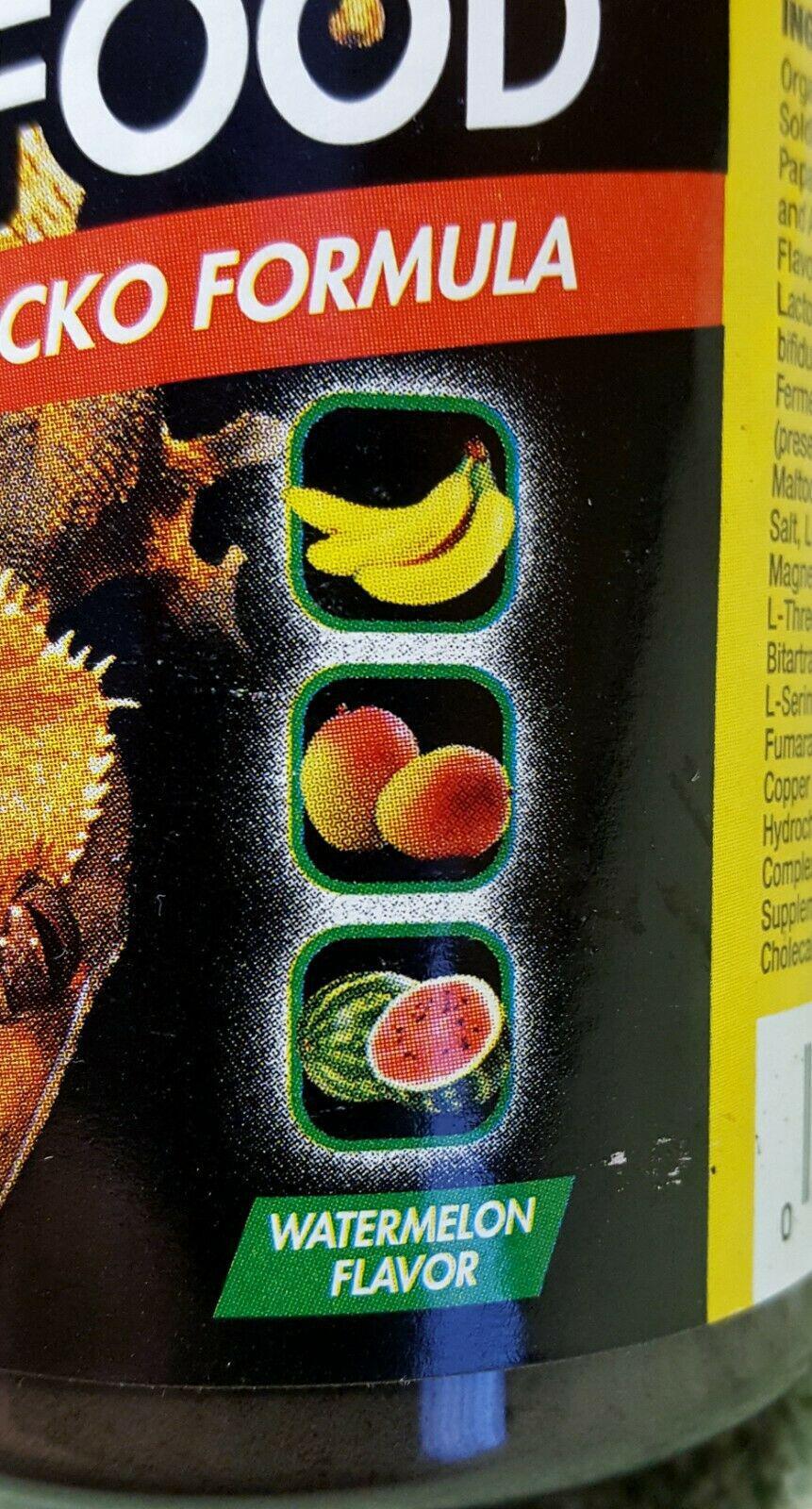 ZOO Med Crested Gecko Food - Watermelon | The Creature Room